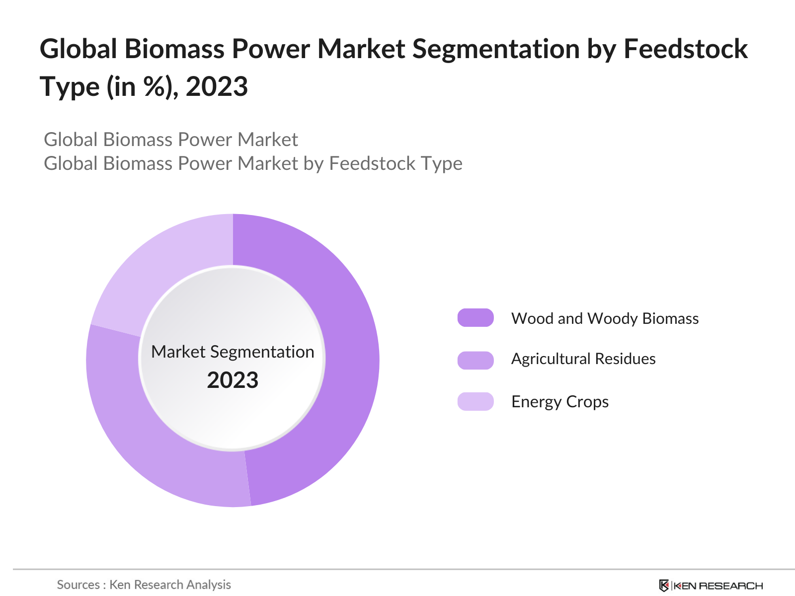 Global Biomass Power Market Outlook to 2028